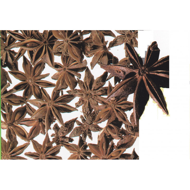 Badiane de chine entière ou Anis étoilé pour décoctions antivirales